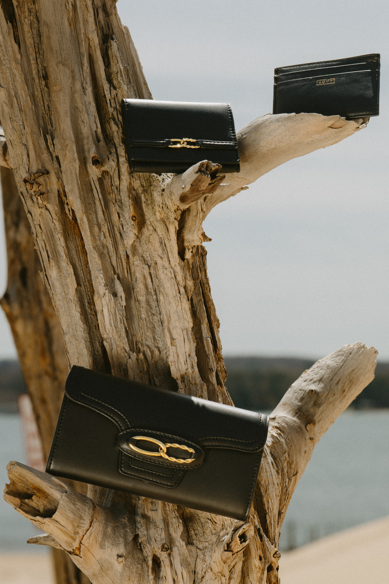 Designer Wallets by AGCF | Luxury & Timeless Elegance